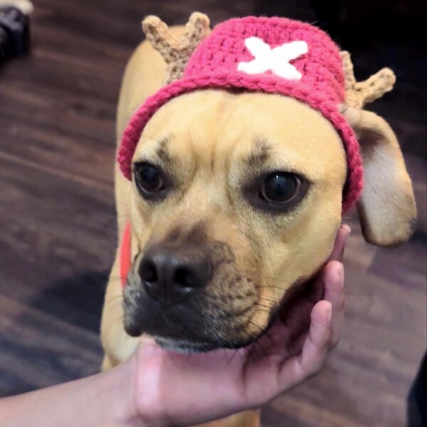 One Piece Anime Handmade Crochet Hat Tony Chopper Blue & Pink Hat ...