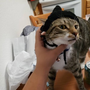Cat Frog Hat Available for All Pets Dog / Cat / Pet Hat - Etsy
