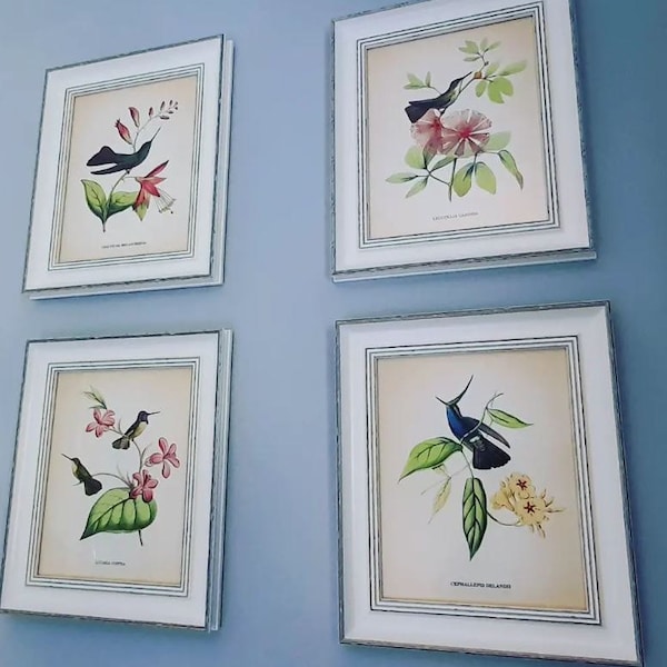 8x10'' HUMMINGBIRD PRINTS SET Set Bird Print Flower Nature Wall Art ...