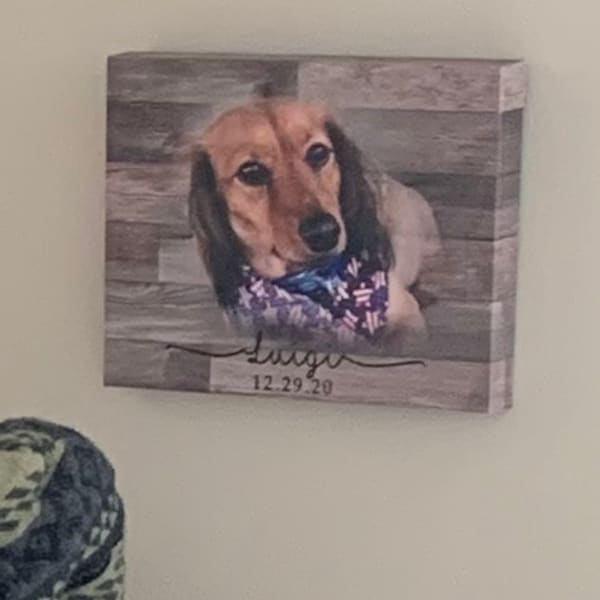 In Memory of Dog Memorial Gift | Personalized Dog Memorial Canvas | Pet ...