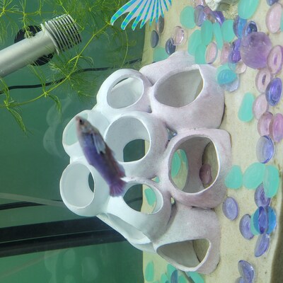 Small Fish Hide Betta Fish Cave Small Aquarium Decor Fish - Etsy