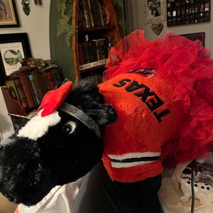 University of South Carolina Reusable Cotton Face Mask-south - Etsy