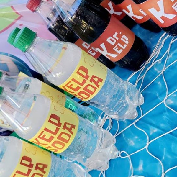 Gamer Med Kit & Mist 1.3 Oz Chip Printable Labels [INSTANT DOWNLOAD ...