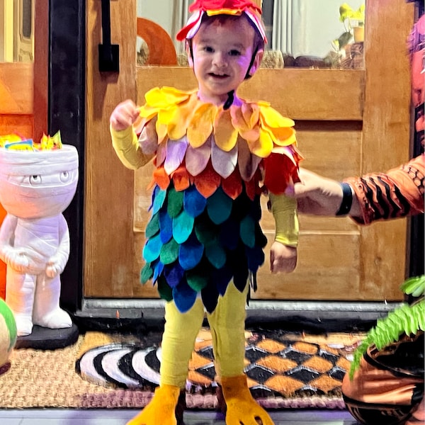 Hei Hei From Moana Inspired Costume - Etsy