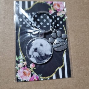 Dog Personalised Photo Keyring, You Left Paw Prints on My Heart, Loss ...