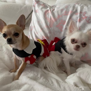 Dog Show Training Stack Box Toy Adult Size Stack Training 20 X 12 ...