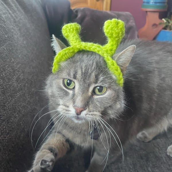 Alien Cat Hat, Cat Alien Antennae Headband, Outerspace Scifi ...