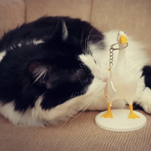 Korok Seed Set of 5 Golden Poop Zelda Breath of the Wild - Etsy