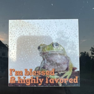 My Tummy Hurts and Im Mad at the Government Screaming Desert Rain Frog ...