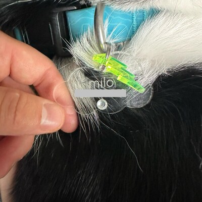 Acrylic Poop Loop Hands Free Poop Carrier Poop Bag Holder - Etsy