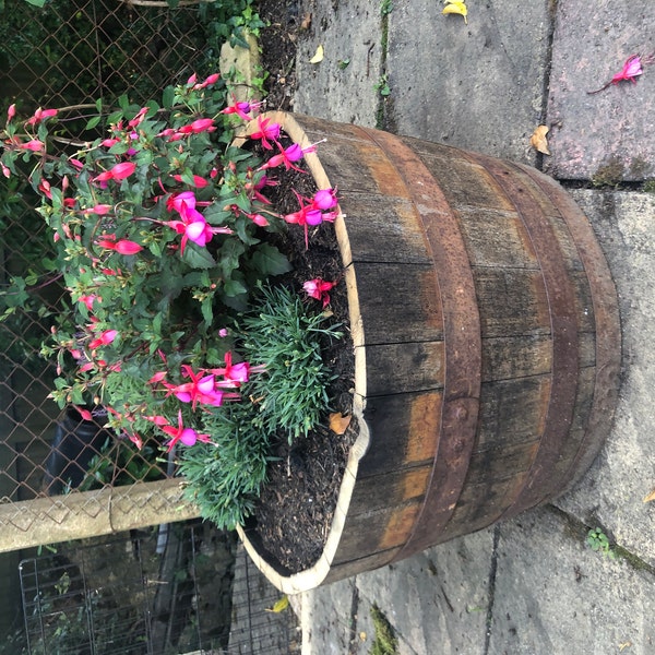 WHISKEY BARREL PLANTER - Reclaimed Oak Cask Planters - Freshly Made to ...