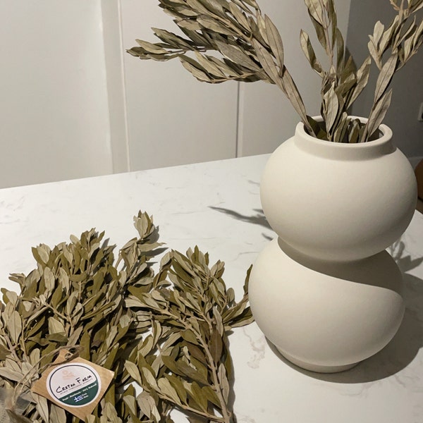 Olive Branches, Set of 10 - 50 Fresh Olive Stems and Leaves, Greek ...