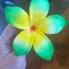 Moana's Kuiga, Moana Movie, Samoan Princess Crown /tuiga/kuiga Pale ...