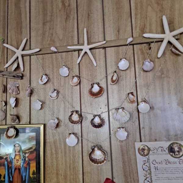 Opihi Limpet Hawaiian Shells 10 Shells Hawaii Shell Jewelry Making ...