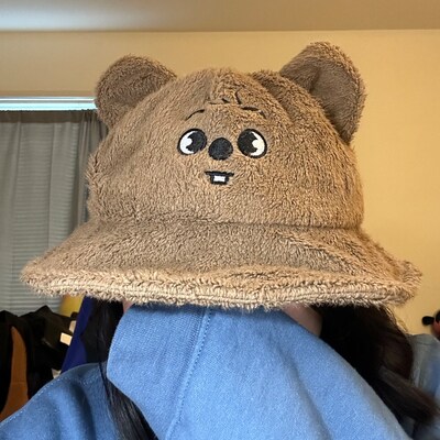 Stray Kids Han Jisung go Quokka Embroidered Hoodie Merch - Etsy