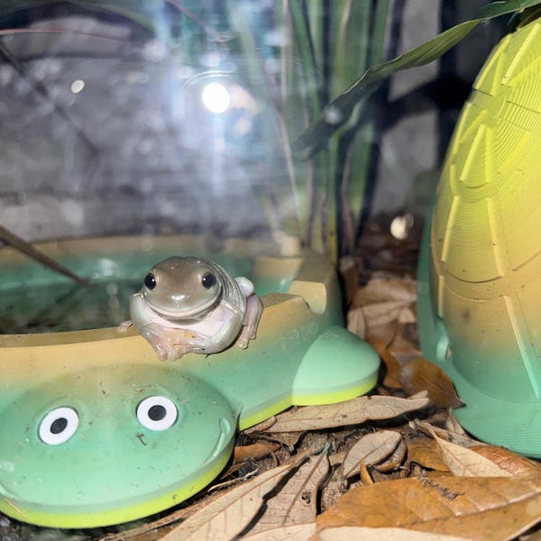 Shipping Container Reptile/small Pet Hide - Customized 4 Sizes 2-3WK ...