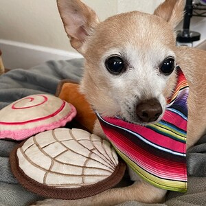Cute Concha and Other Pan Dulce Squeaky Dog Toys. - Etsy