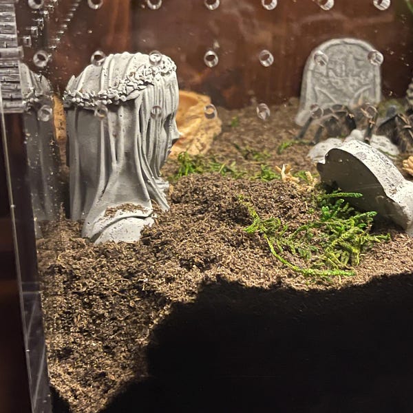 Coffin Casket Spooky Moss Mini Cemetery Planter Halloween Decor - Etsy