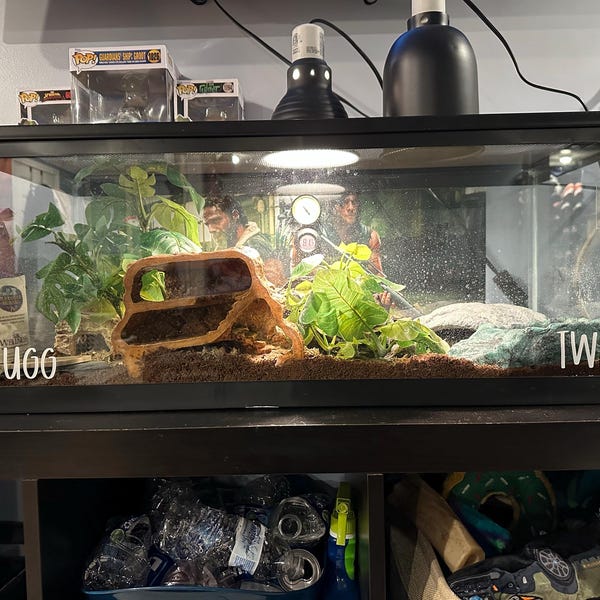 Yeti Decal Yeti Tumbler Decal Yeti Rambler Decal Yeti Name Decal Vinyl ...