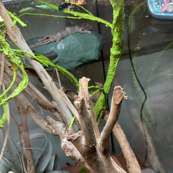 Custom Jet Engine Fidget Spinner /turbine Impeller Air Powered Premium ...