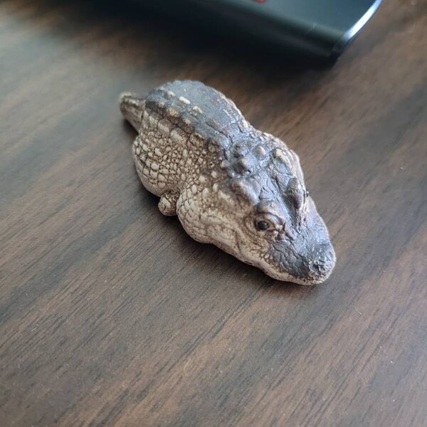 The Chubby Reclining Crocodile Sculpture is the Ideal Crocodile Tea Pet ...