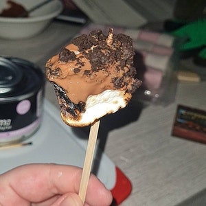 Marshmallow Toasting Kit - Etsy UK