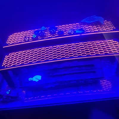 3 Tier Honeycomb Frag Rack System for 20g Long Aquarium Free Standing ...