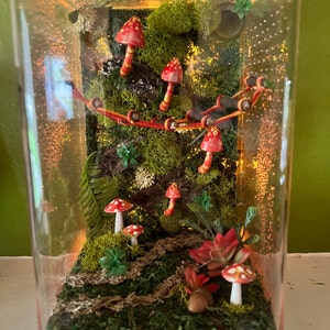 Large 6x6x9.5 Luxury Adult Jumping Spider Enclosure, Decorated Jumper ...