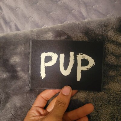 PUP Band DIY Punk Patch Canvas Patch - Etsy
