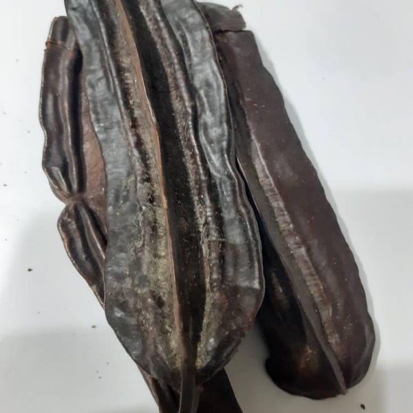Prekese Pods – Whole Aidan Fruit | Tetrapleura Tetraptera | Authentic ...