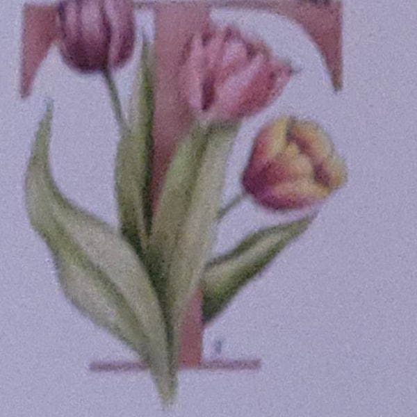 R is for Rose, Flower Letter Print. A Blue or Pink R Initial With ...