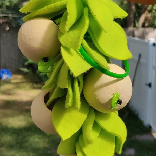 Natural Gourd Cup Forager Sugar Glider Toy Sugar Bear Toy, Pocket Pet ...