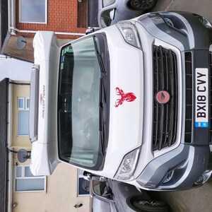 Dragon Decal Sticker Vinyl Car Bonnet Side Sticker Decal Wall Art ...