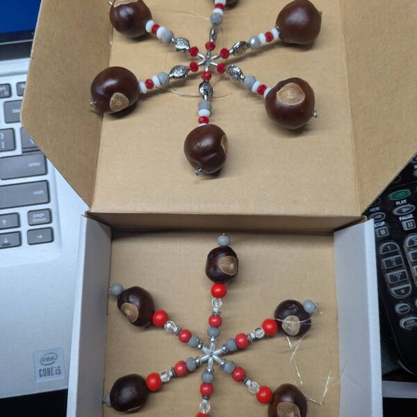 Buckeye Necklace, Ohio Football Fan, Buckeye Nut, Buckeye Gift, College ...