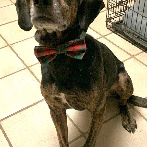 Christmas Plaid Dog Bow Tie / Dog Bow / Holiday Bow / Girl Dog / Boy ...