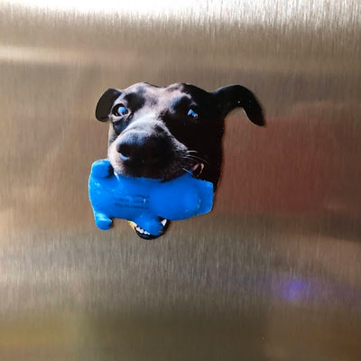 Personalized Baby Magnet Baby Refrigerator Magnet Waterproof - Etsy