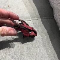 Leather Dragon Keychain Pattern Template Pattern PDF Pattern Key ...