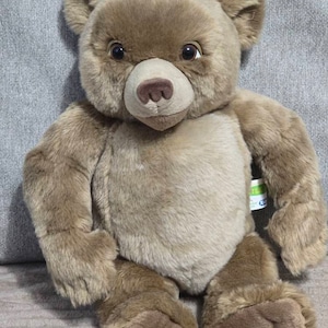 Vintage Build A Bear Workshop Turtle Plush WITH SHELL W Hidden Zippered ...