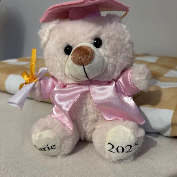 Graduation Teddy Bear With Custom School Name, Plush Bear With ...