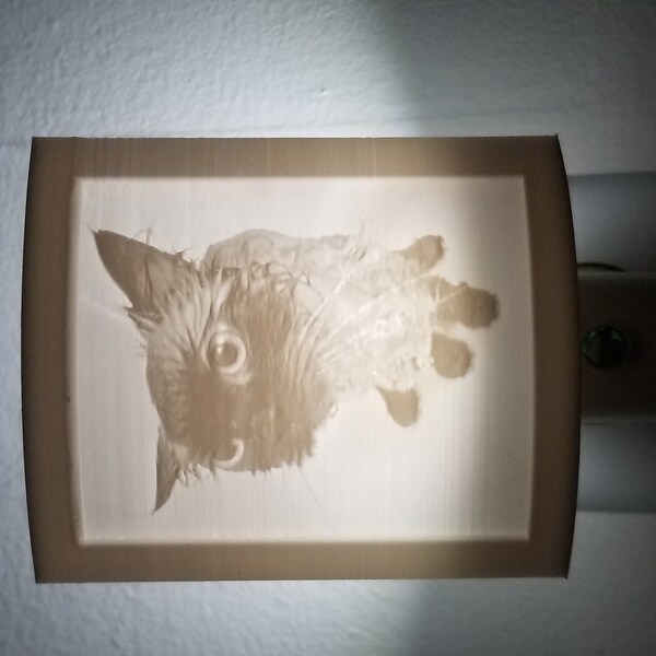 3D Printed Pet Photo LED Night Light, Personalized Pet Sympathy Gift ...