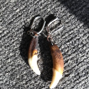 White Tail Deer Hock Bone Authentic American White Tail Deer - Etsy