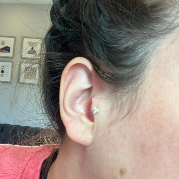 14k Solid Gold Dollar Sign Cartilage Earrings Money Stud Earrings ...