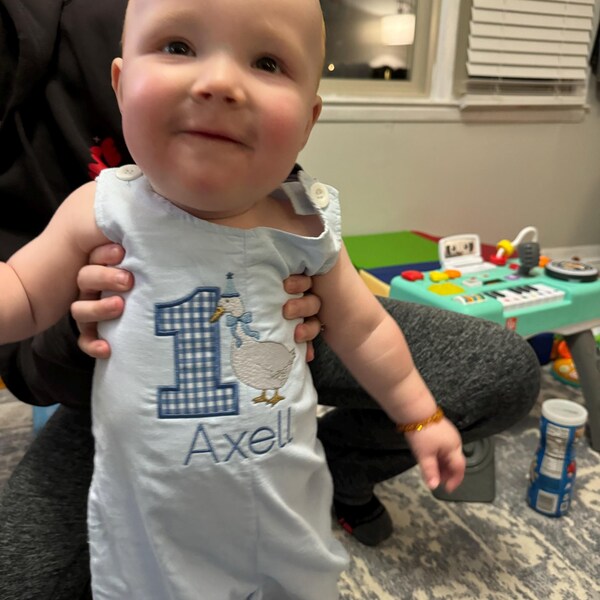 Custom Stork Baby Hospital Banner | Embroidered Birth Announcement ...