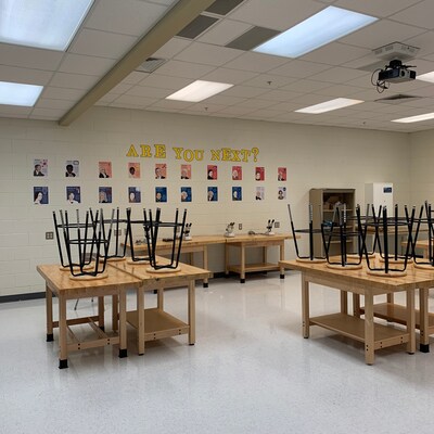 Famous Scientist Classroom Poster Set, Science Classroom Décor, Women ...