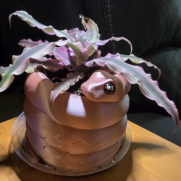 Snake Planter - Snake Plant Pot With Drainage - Cute Snake Planter ...