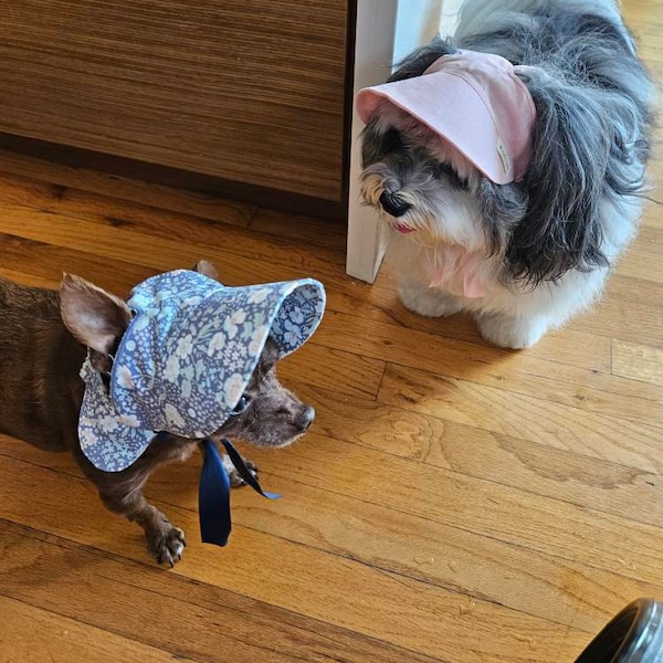 Dog Bonne, Cat Bonnet, Dog Hat/ Small Medium and Large Dogs in Outdoor ...