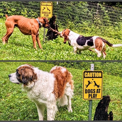 Honey Dew Gifts Dog Poop Signs for Yard There is No Poop - Etsy