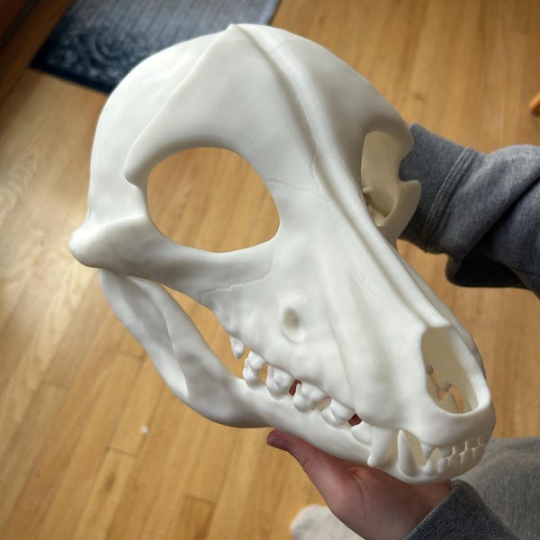 Raven Bird Skull Corvus Bone Skull Mask - Movable Moving Hinge Jaw- 3D ...