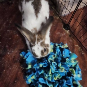 Seagrass Enrichmat™ Snuffle Mat Foraging & Enrichment Mat Well Kept ...