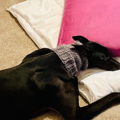 Chunky Knit Snoods Greyhound Lurcher Whippet - Etsy